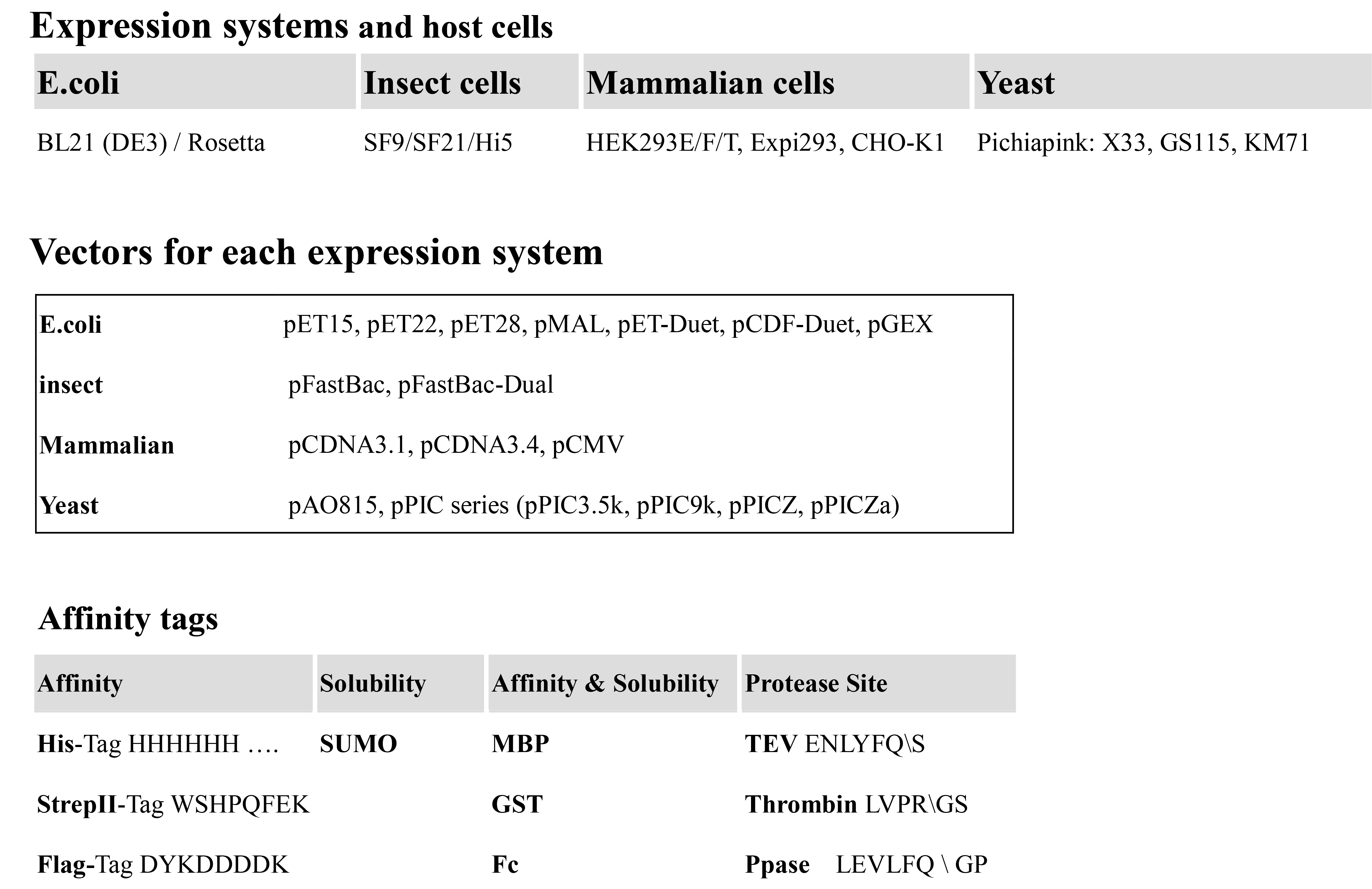 Protein Expression and Purification